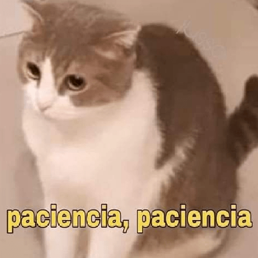 Gatitos Memes😺 💕