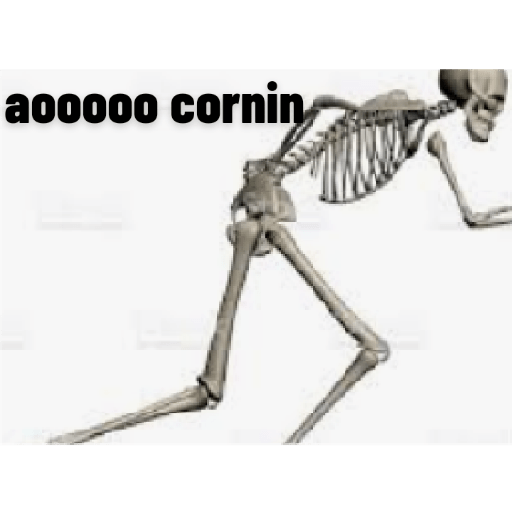 corre que o corno tá puto kkkk