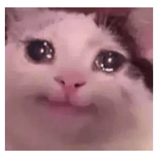 Los mejores memes sad