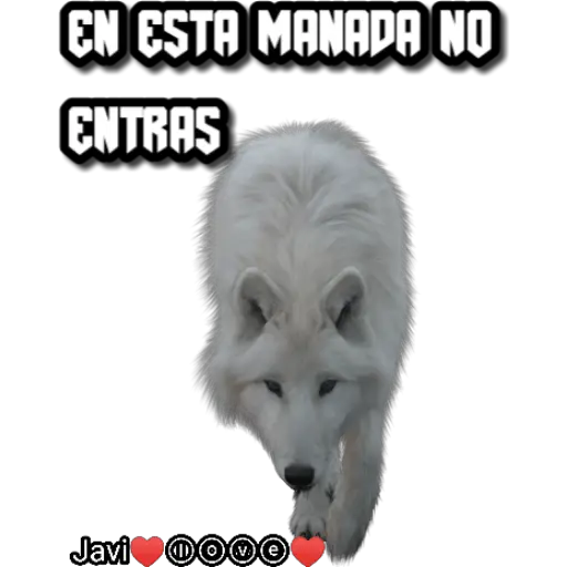 lobos