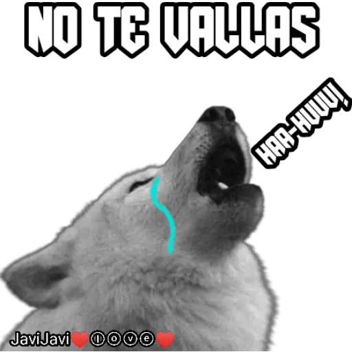 Un lobo nunca abandona a su loba plantilla para meme | Memes ...