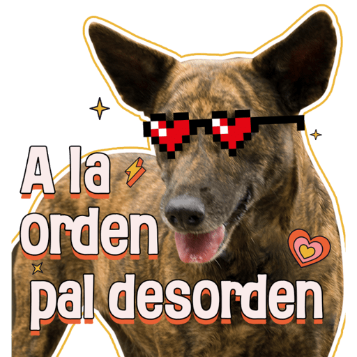 Adop. B.Animal 🐶0993865847