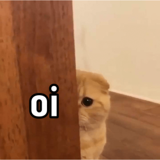 memes gatinhos 🐾
