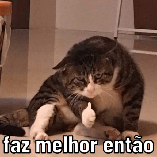 memes gatinhos 🐾