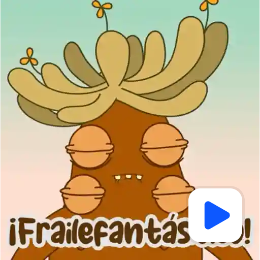 Frailejón y la gota más pura