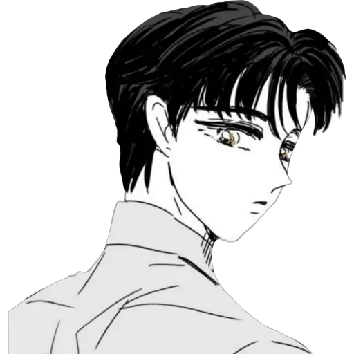 La historia de Hosik