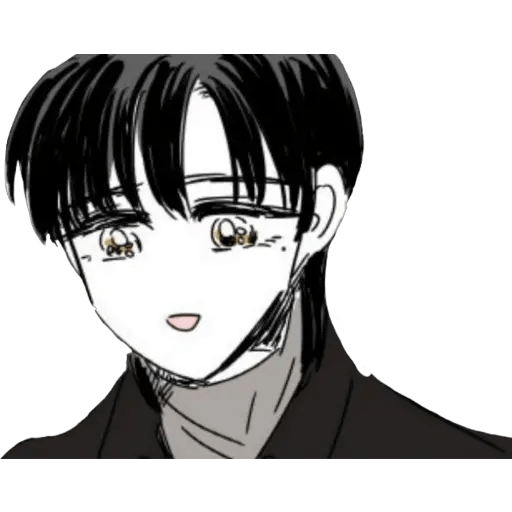 La historia de Hosik