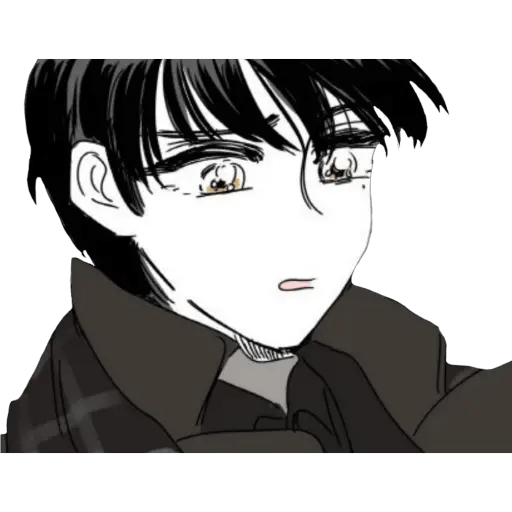 La historia de Hosik