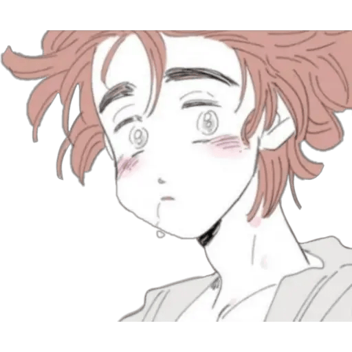 La historia de Hosik