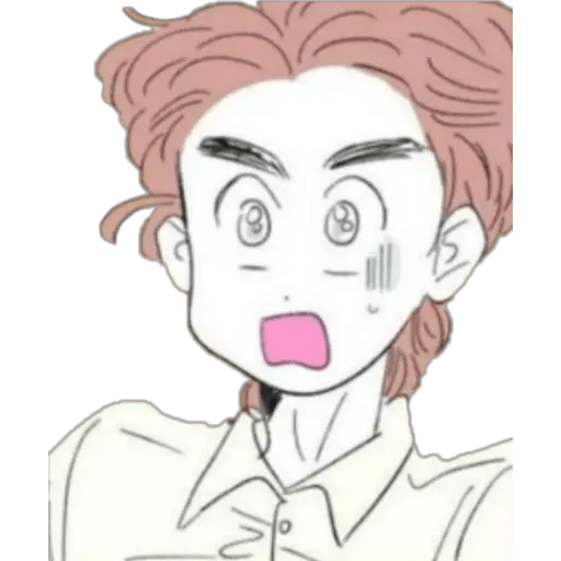 La historia de Hosik