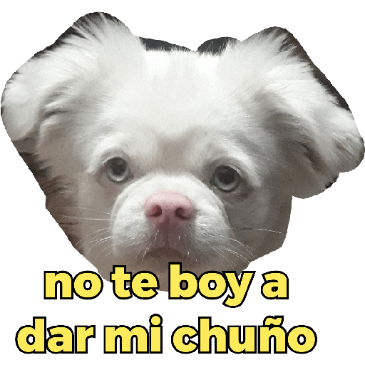 Sticker.ly - Chat Stickers & Memes for WhatsApp