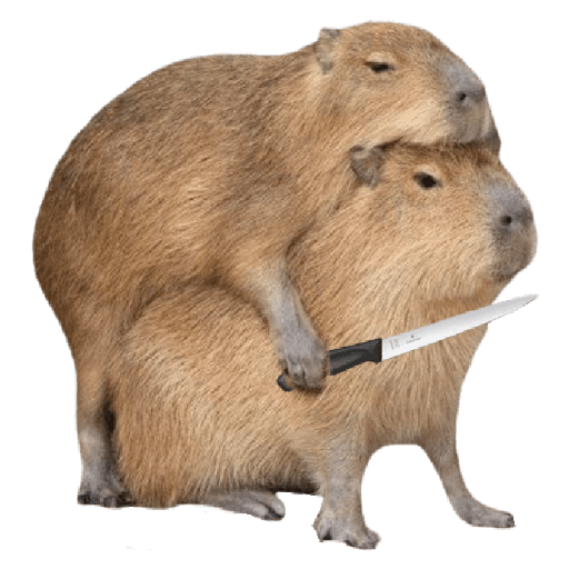 memes de carpinchos capibaras