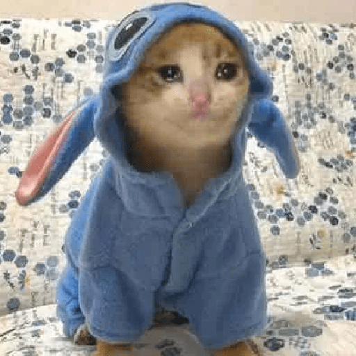 Gato triste bien sad 😿😭