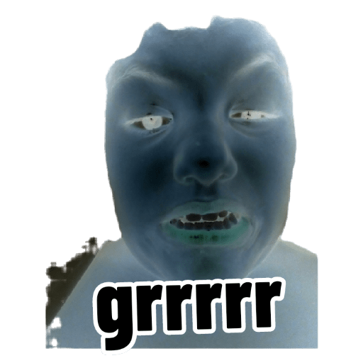 kedamono y sus amigos