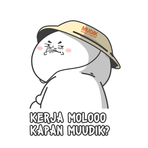 Dudu Mudik