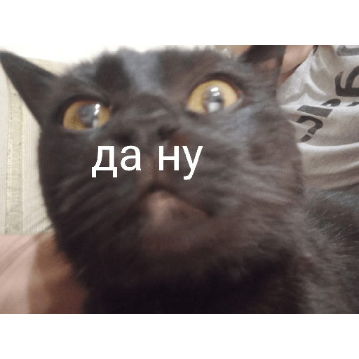 негр