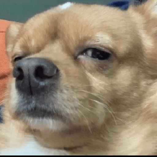 stickers graciosos😏🍫