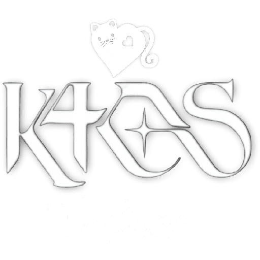 K4OS ONLINE 1.1