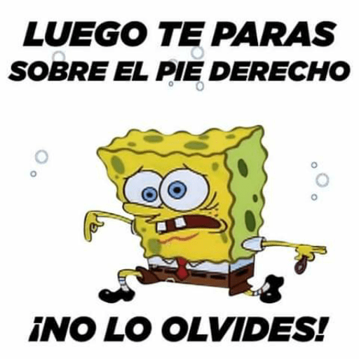 pasos de bob esponja