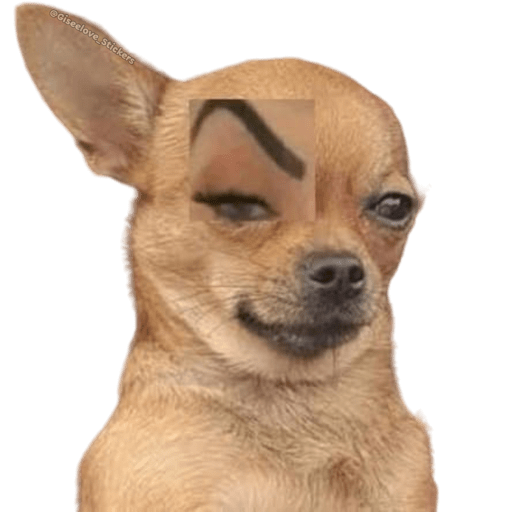 😎 STICKERS PA' JODER 😜