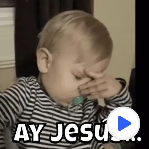 Animados Pal Chat 4 😎