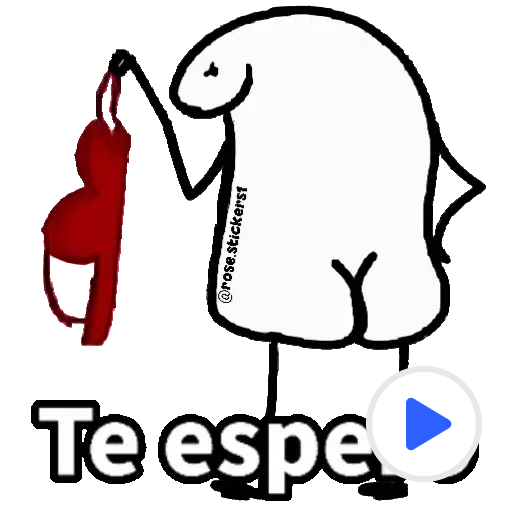 Flork Memes Animado😎