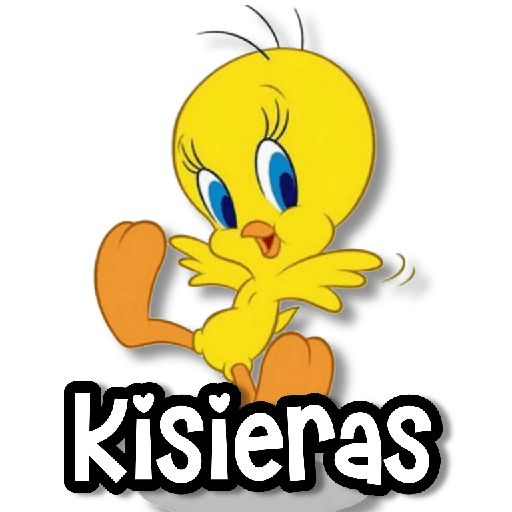Piolin Grosero🐥🤬