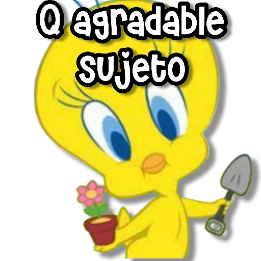Piolin Grosero🐥🤬