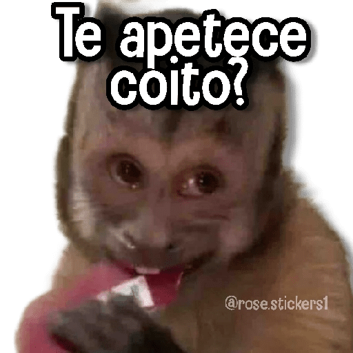 Changuitos pa Ti🐒🍌🌴