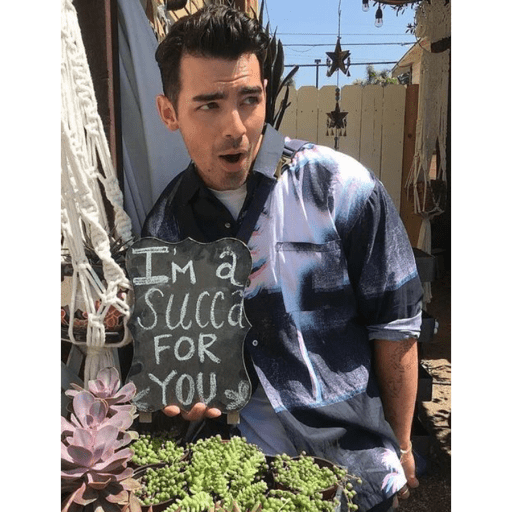Pack joe jonas