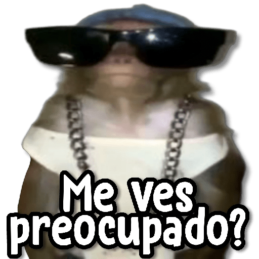 Sticker.ly - Chat Stickers & Memes for WhatsApp