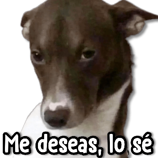 Sticker.ly - Chat Stickers & Memes for WhatsApp
