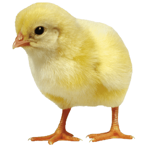 Soy Ren Emotes