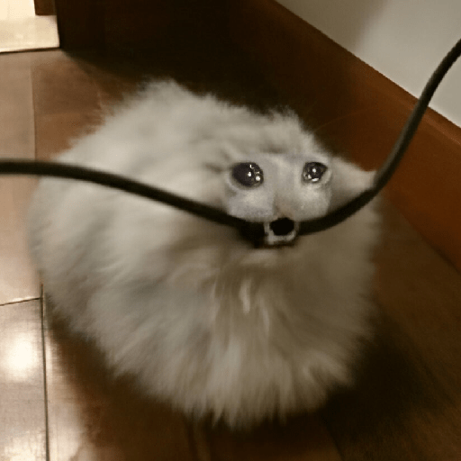 😿🥺 Gatitos Tristes 🥺😿