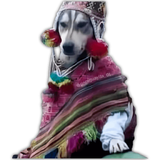 🍃🐶Perro Chamán 2 | Pachamama🐶🍃