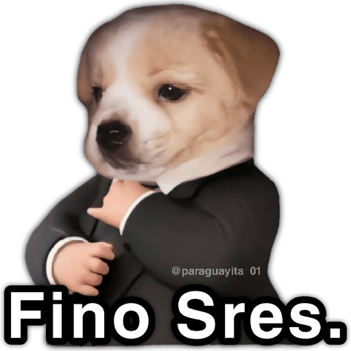 🐾🐕 Perritos XD 2 🐕🐾