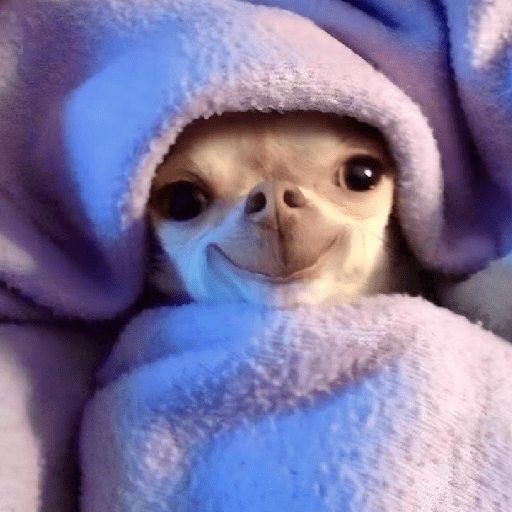 ⏰😴 A MIMIR 😴⏰