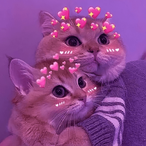 🐱🐈Michis Love💖💕