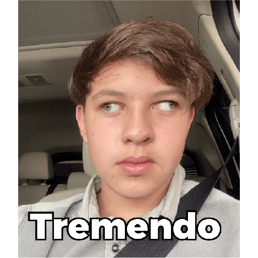 Fede Vigevani Stickers