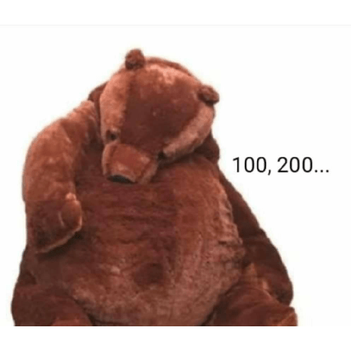 meme del oso
