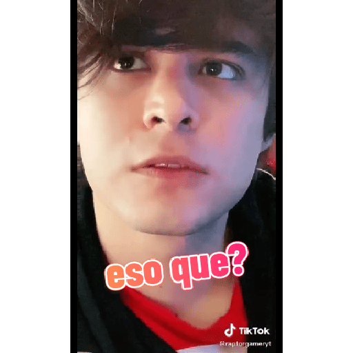 Stikers d raptorgamer 2