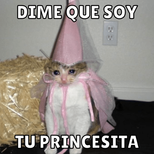 Michis Para Ti🐱 ️