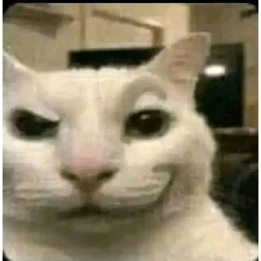 Sticker.ly - Chat Stickers & Memes for WhatsApp