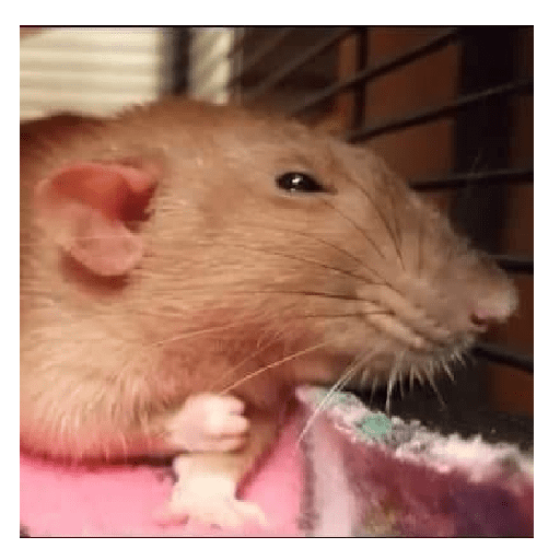 😠 Stickers de Enojo 😠