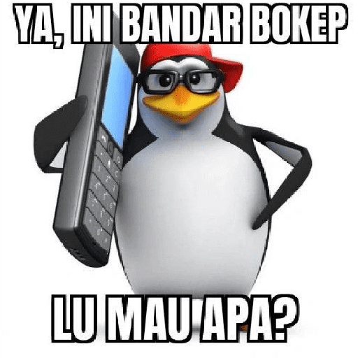 pinguin bandar