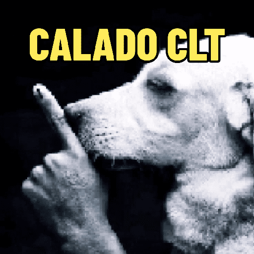 CLT/carteira de trabalho memes