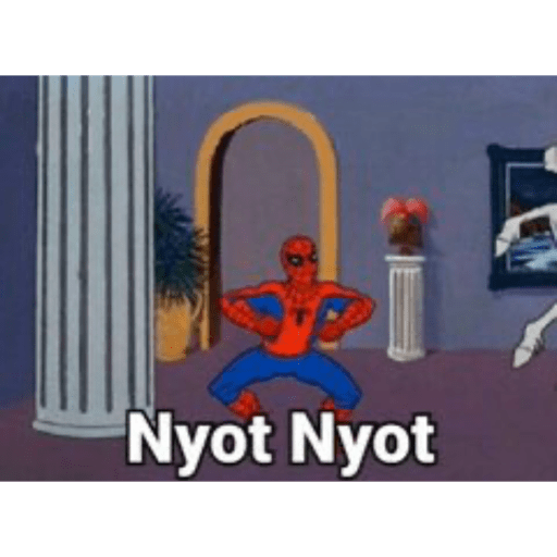 spiderman nyot