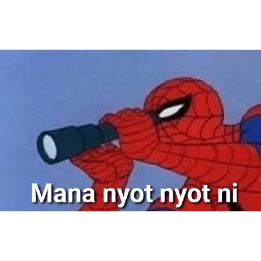 spiderman nyot