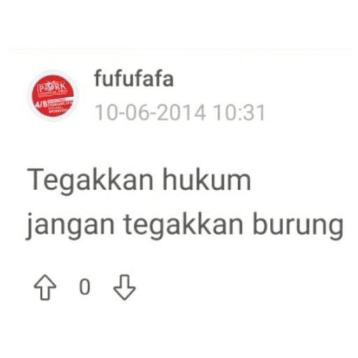 meme gibran fufufafa 🗒️
