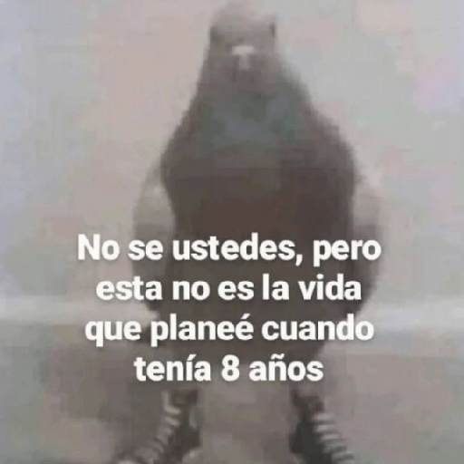 🤪👌Shitposting Random 😎🤟 2